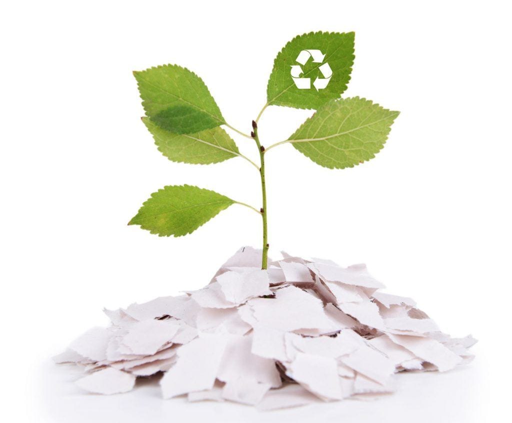 Guidelines for Purchasing Recycled Paper Products for FMs | Service By ...